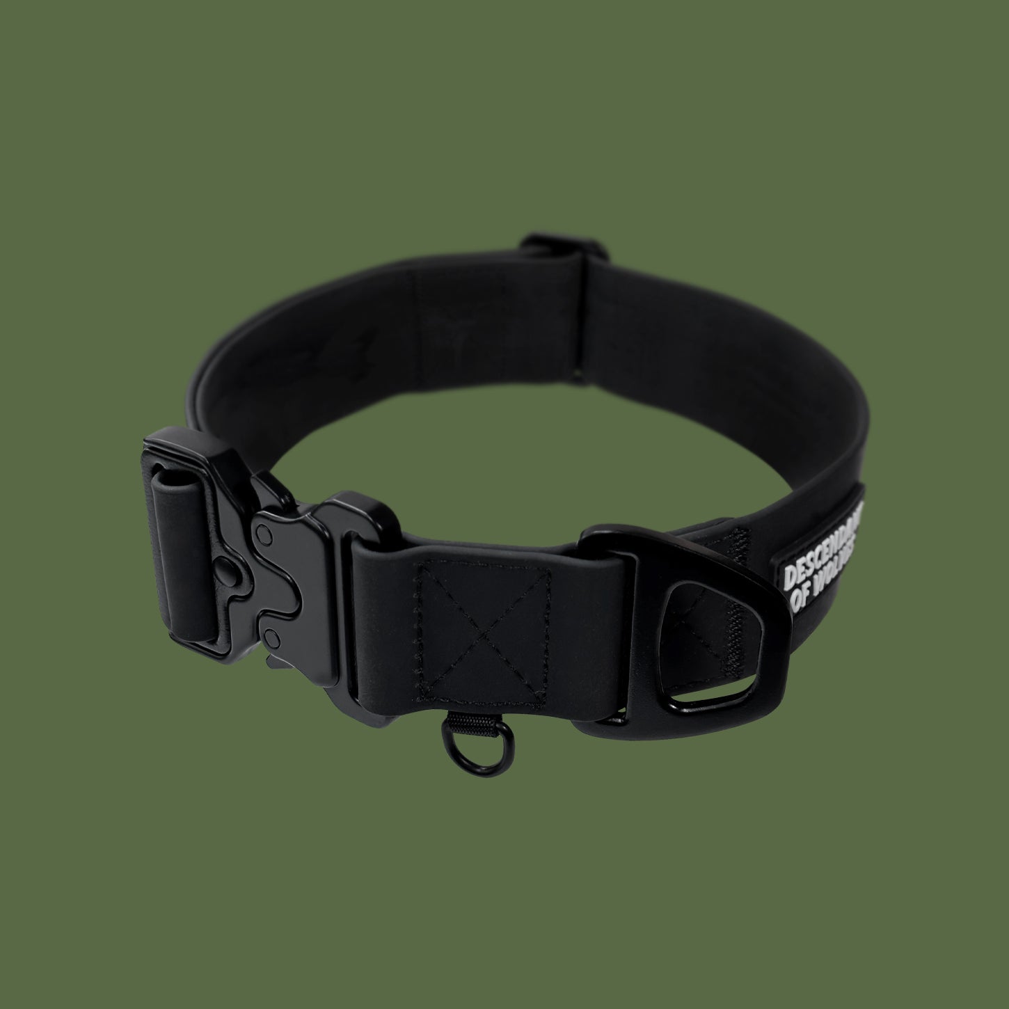 Collars – Descendant Of Wolves