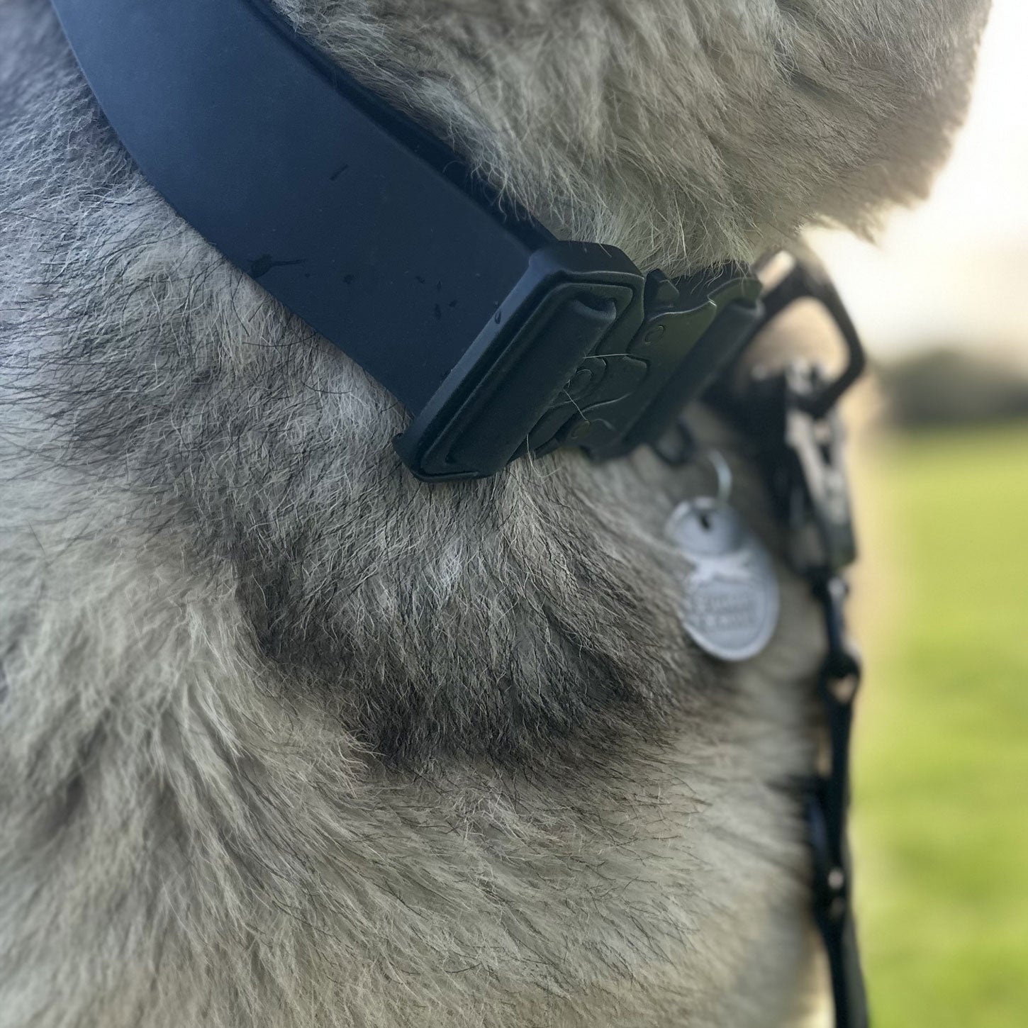 Tactical PVC Collar | 38mm Width – descendantofwolves